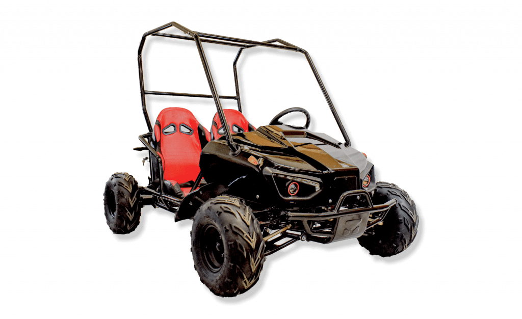 Evolution Duo | 100% Electric Two Seater Buggy